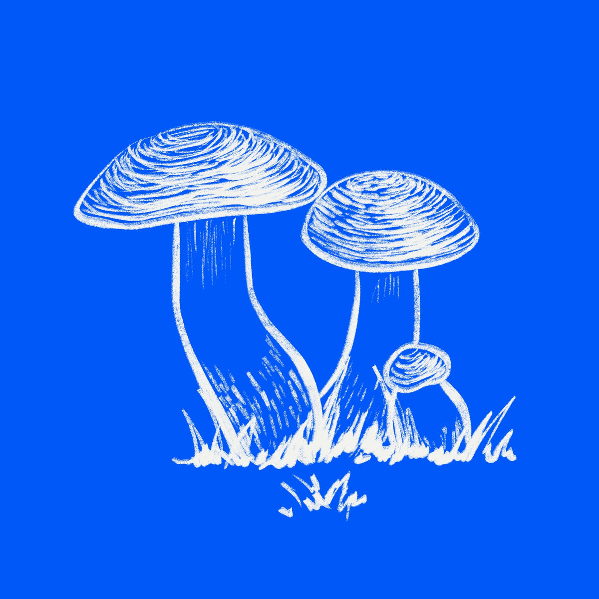 Finnish Nature – Very Finnish Problems